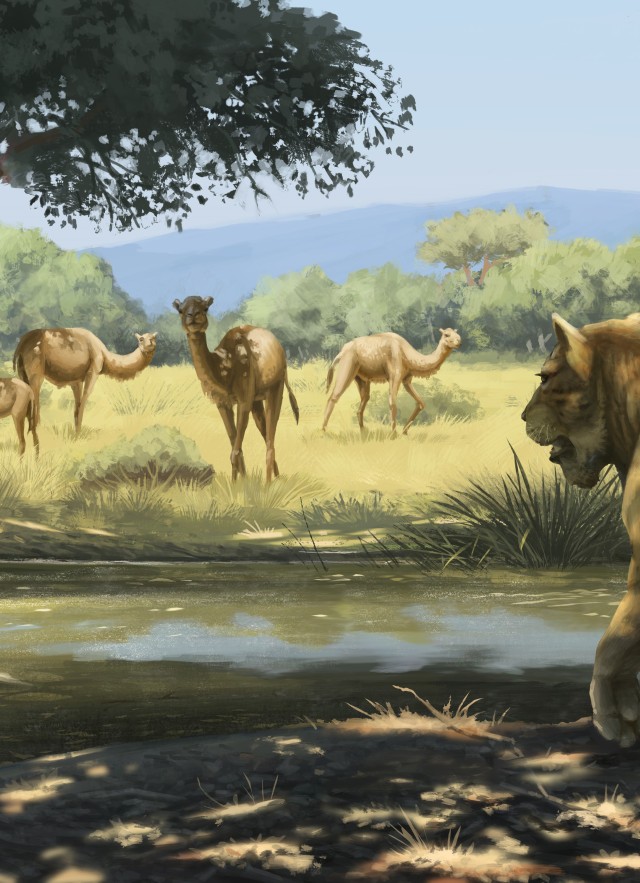 Playing With Fire: Extinction and Survival at La Brea Tar Pits | La Brea Tar Pits